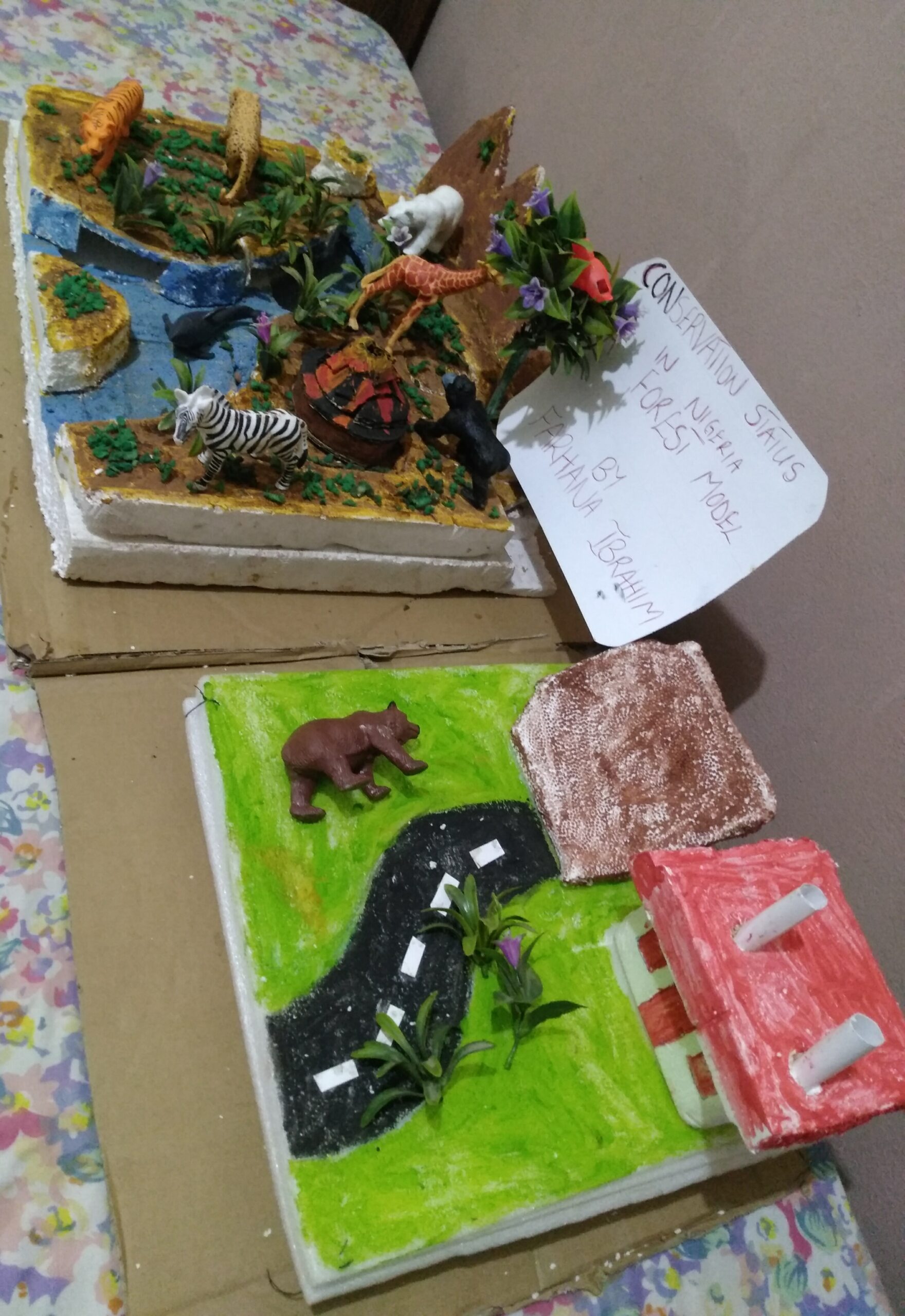 Conservation status – Dawn Project